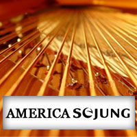 String Set by Model Archives - Mapes Strings